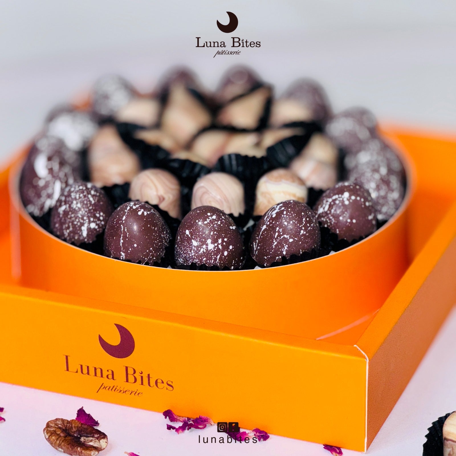 Luna Bites